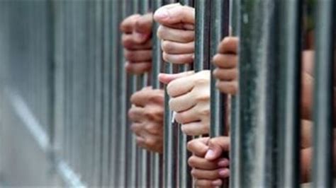 خلال ساعات استئناف محاكمة 4 أشخاص في حريق استديو الأهرام الموجز