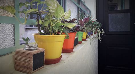 Stage Model Stage Model Added A New Photo — In Arraial