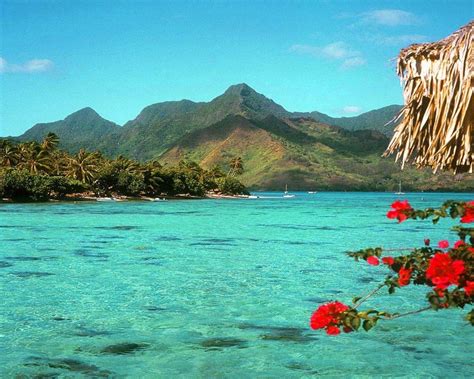 Tropical Beaches Desktop Wallpapers Top Free Tropical Beaches Desktop