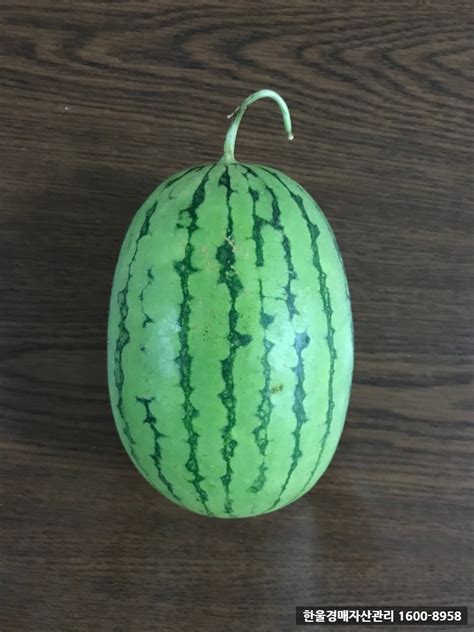 깍아먹는 귀여운 애플수박 네이버 블로그