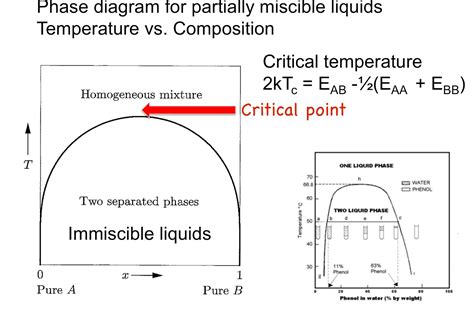 Condensed Concepts Ising Model Basics