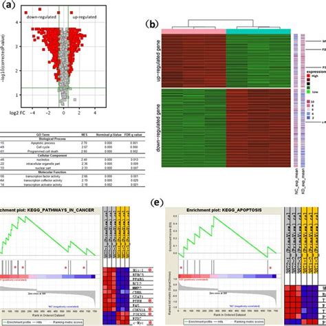 Global Gene Expression Profiles And Gsea Analysis A Dna Microarray