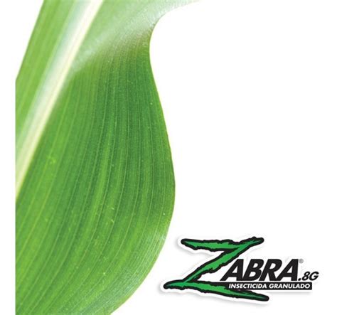 Zabra Insecticida Suelo Gallina Ciega Hormiga Pulga Kg E Casa Pancho Jardines