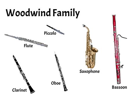 Woodwind Instruments Orchestra