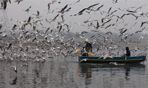 Life And Death On Indias Yamuna River Fit Newsroom
