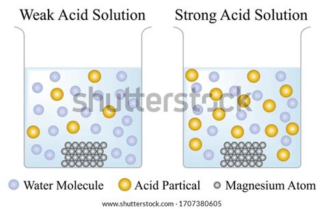 Illustration Chemical Weak Strong Acid Solution Stock Vector Royalty Free