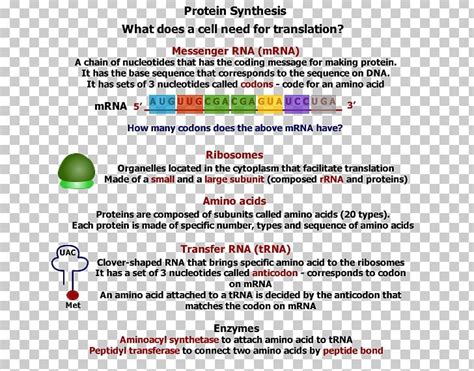 web page computer program line png clipart area art brand computer computer program free