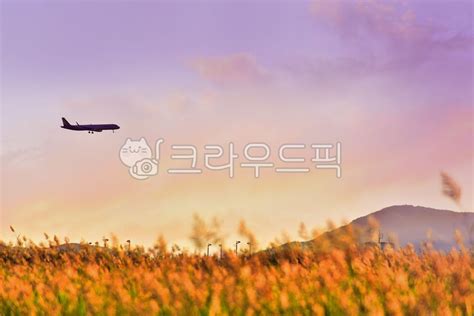 항공기 비행기 교통 Aircraft Transportation 사진 이미지 일러스트 캘리그라피 Space작가