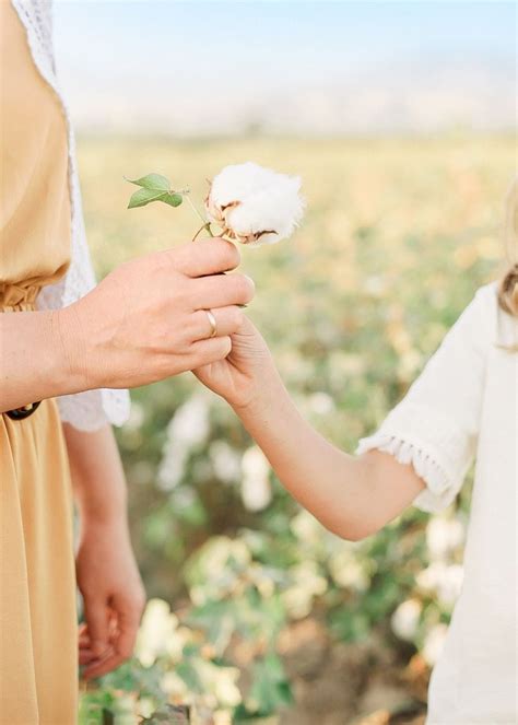 Фотосессия в хлопковом поле Фотосессия Хлопковые поля Лето