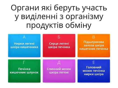 Сечовидільна система Quiz