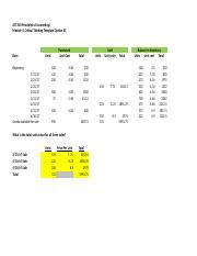 ACT300 Critical Thinking Template Option 01 Module 04 Xlsx ACT300
