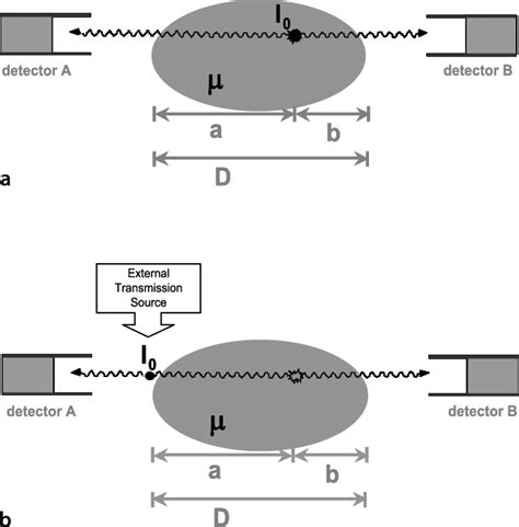 6 Attenuation Through An Object In Coincidence Detection Notation As Download Scientific