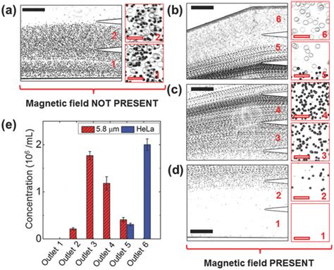 Device Performance Of Cell Separation A In Absence Of A Magnetic Download Scientific Diagram