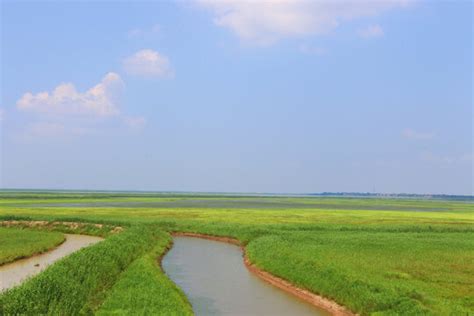 南昌南矶山自然保护区湿地风光 沼泽湿地 自然风景 摄影素材 汇图网www huitu