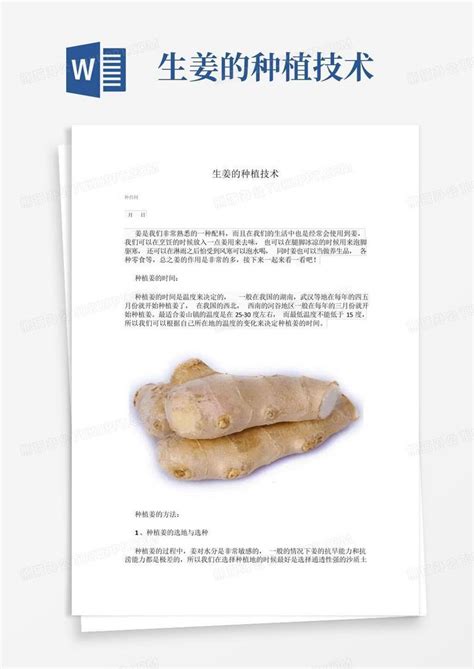 生姜的种植技术word模板下载编号ldxojzay熊猫办公