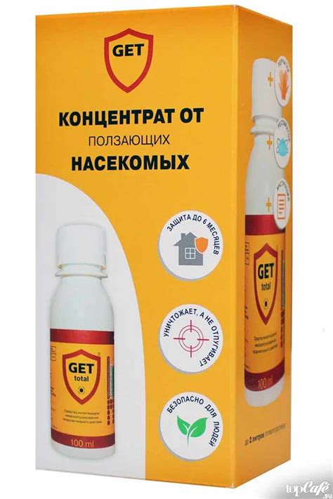Самые эффективные средства против муравьёв
