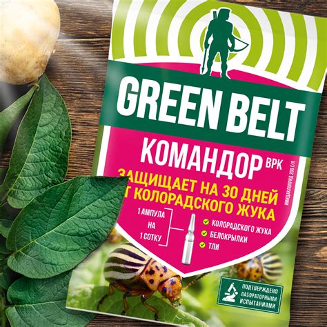 Портфолио