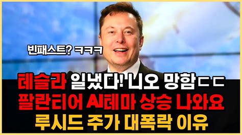 테슬라 일냈다 니오 망함ㄷㄷ 빈패스트 대박 팔란티어 Ai테마 상승 나와요 루시드 주가 대폭락 이유 Youtube