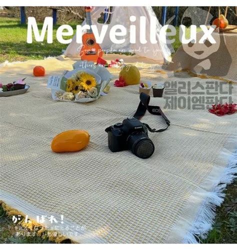 감성 피크닉 매트 소풍 돗자리 한강 서울숲 린넨 에스닉 패브릭 티몬