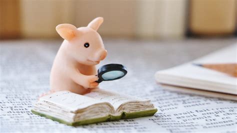 【老眼鏡】中高年が初めて買うならどこがいい？大手チェーン6店まとめ｜中高年の暮らしのトリセツ