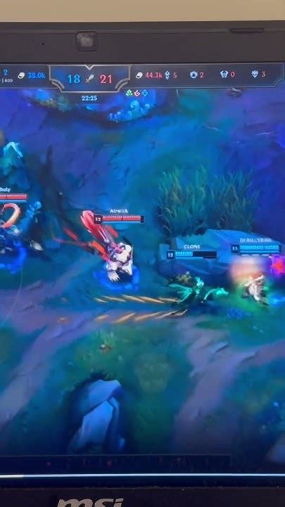 Warwick Jungle Youtube