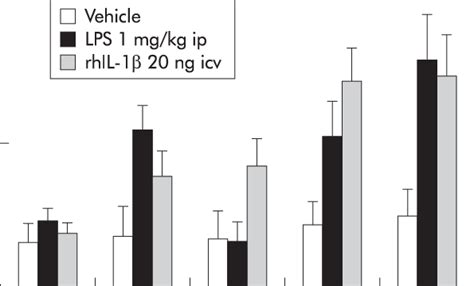 Role Of Central Human Recombinant Interleukin 1β Rhil 1β In Allodynia Download Scientific