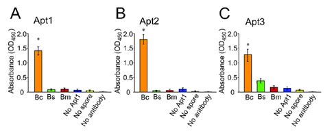 Binding Affinity Of Three Aptamers To Different Bacillus Spores At 10 5