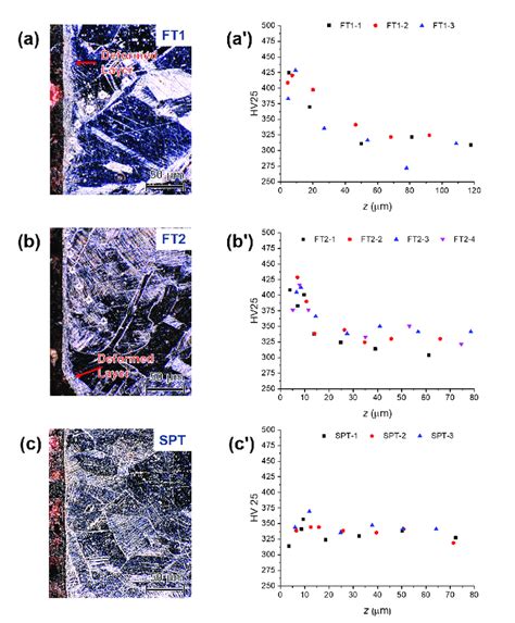 Microstructure And Microhardness Depth Profiles Close To Annulus And Download Scientific