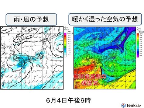 九州では6月4日頃は大雨の可能性 関東甲信など梅雨入りはいつ気象予報士 白石 圭子 2025年05月25日 日本気象協会 Tenkijp