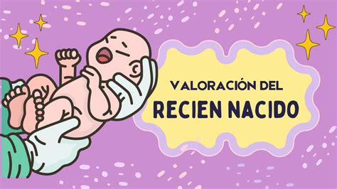 Valoración Del Recién Nacido Estephania Vazquez Cruz Udocz