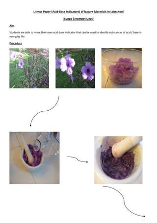 Litmus Paper PDF