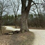 Waterfall Glen Trail Illinois AllTrails