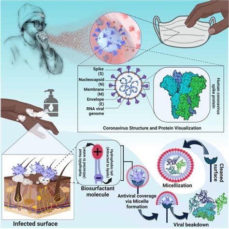 Sustainable Sars Cov 2 Removal From Environmental Surfaces Using