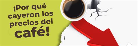 Se Desploma El Precio Del Café ¿a Qué Se Debe Conoce Las Razones