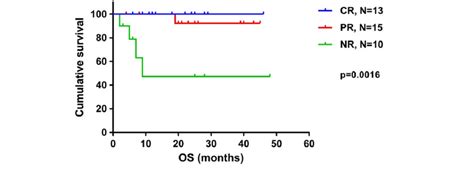 Overall Survival Os Of Patients With Aplastic Anemia Per Response In