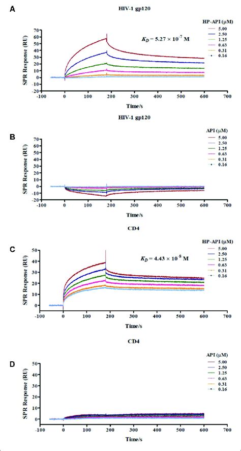 Binding Of HP API To HIV 1 Gp120 And CD4 As Assessed By SPR Assay
