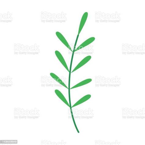 스킨 케어는 피부와 머리카락의 아름다움을위한 유용한 허브 스파 제품입니다 화장품 병의 벡터 그림입니다 흰색으로 분리된 만화 로션 크림 구도에 대한 스톡 벡터 아트 및 기타