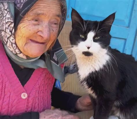 Yaşlı Teyze Ile Kedinin Sevgi Dolu Anları İ