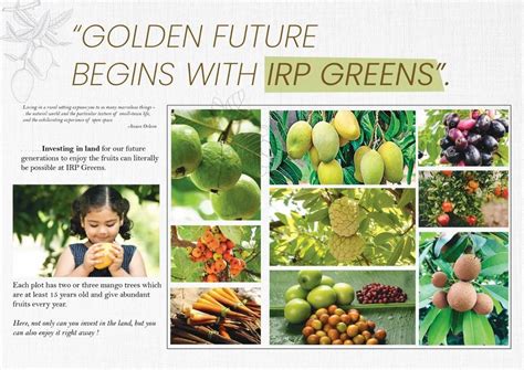 Residential Plot Farm Houses Farm Land And Resort At ₹ 6500 Sq Ft In