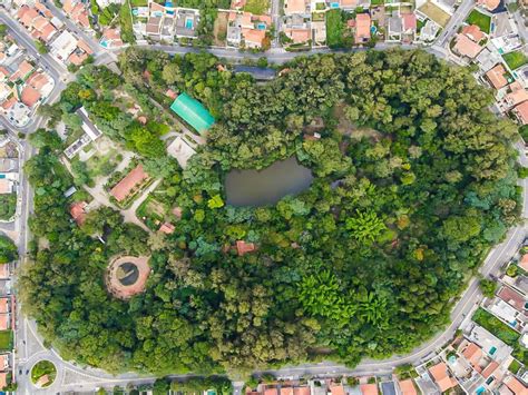Osasco Parques Chico Mendes E Ecológico Oferecem Programação Gratuita