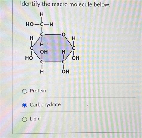 Solved Identify The Macro Molecule Below Protein Chegg