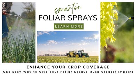 Simple Pro Tip For Much Greater Impact With Your Foliar Sprays Natural Growth Institute