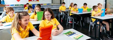 Šta je digitalna pismenost i zašto je važna Najmodernija privatna