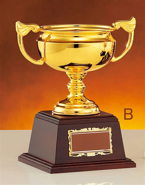 【楽天市場】優勝カップ 送料無料 【文字無料】ゴールド 金色 優勝カップ 高さ305mm 優勝カップ 盾 トロフィー 優勝カップ ゴルフ 優勝