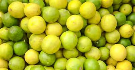Lemon Price गर्मी बढ़ते ही बढे नींबू के दाम अब देने पड़ रहे एक किलो