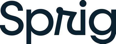 Seer Framework Sense Explore Evaluate Refine And Launch… Sprig