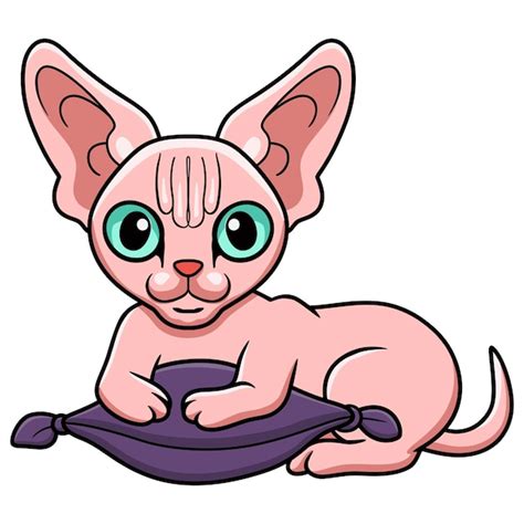 베개에 귀여운 스핑크스 고양이 만화 프리미엄 벡터