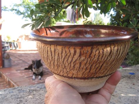 Unique Cracked Surface Bowl