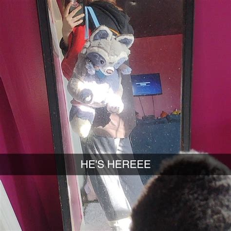 Red Border Collie Plush Snuggle Paws Plush For Anxiety Ptsd