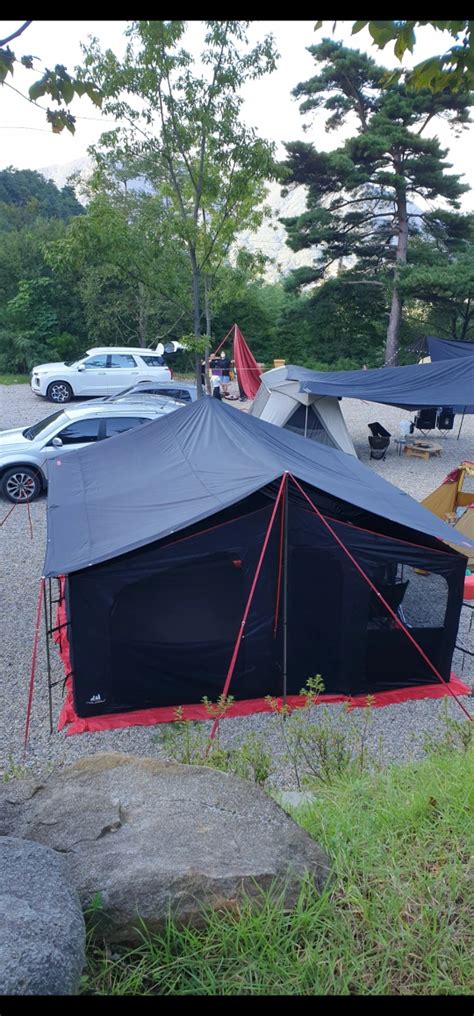 홀리데이 타프스크린 당근 중고거래